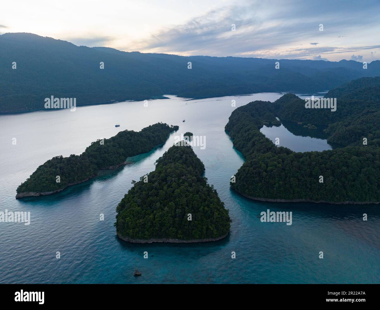 Beautiful tropical islands, surrounded by reefs, rise from West Papua's ...