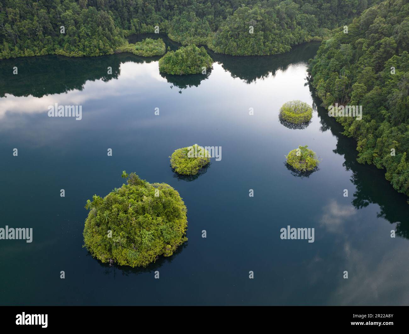 Enclosed ecosystems hi-res stock photography and images - Alamy