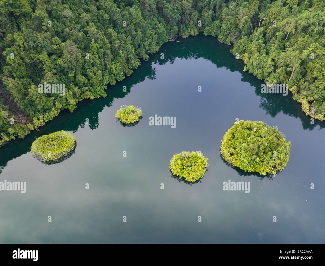 Enclosed nature habitat hi-res stock photography and images - Alamy