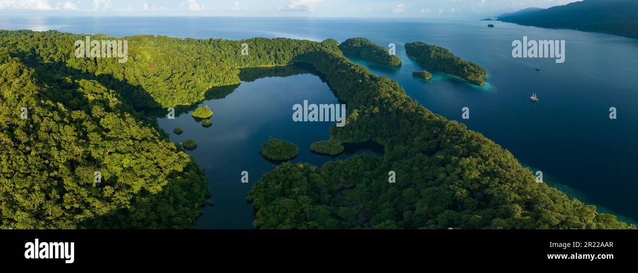 Enclosed ecosystems hi-res stock photography and images - Alamy