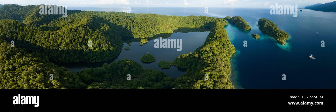 Enclosed ecosystem hi-res stock photography and images - Alamy