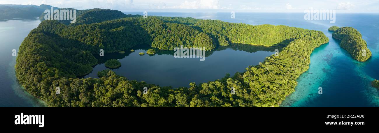 Habitat within marine ecosystems hi-res stock photography and images ...