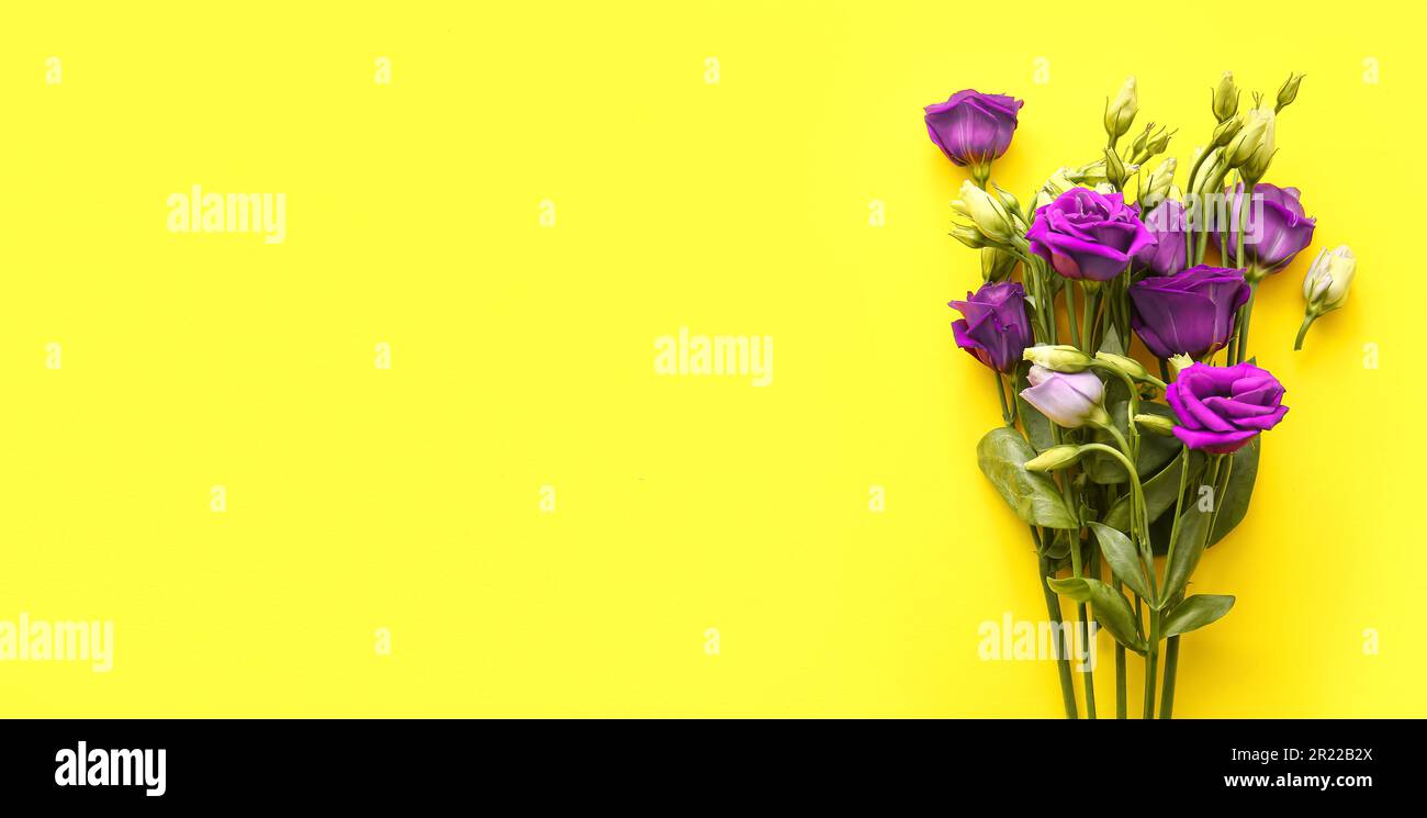 Bouquet of beautiful eustoma flowers on yellow background with space ...