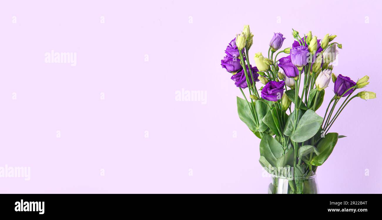 Bouquet of beautiful eustoma flowers on lilac background with space for ...