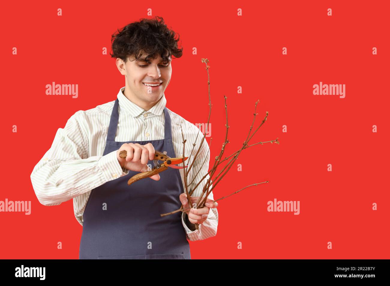 Male gardener cutting tree branches with secateurs on red background ...