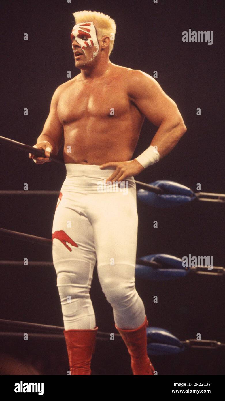 1995 Sting Photo by John Barrett/PHOTOlink Stock Photo - Alamy
