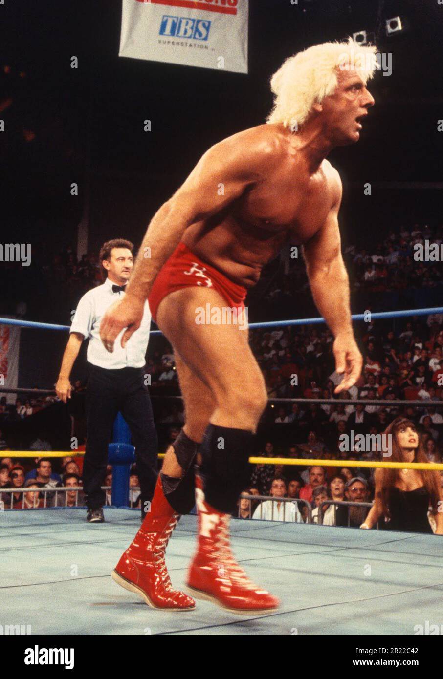 Ric flair 1993 hi-res stock photography and images - Alamy