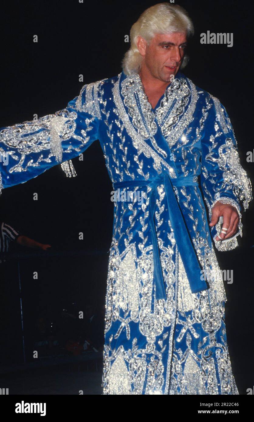 Ric flair wrestling hi-res stock photography and images - Alamy