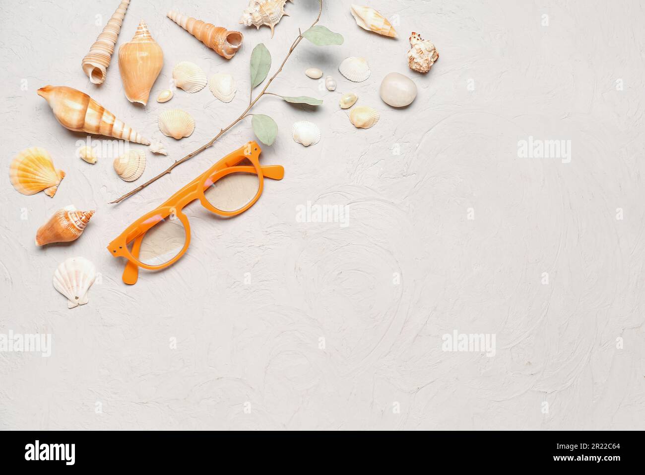 Stylish eyeglasses with sea shells and tree branch on white background ...