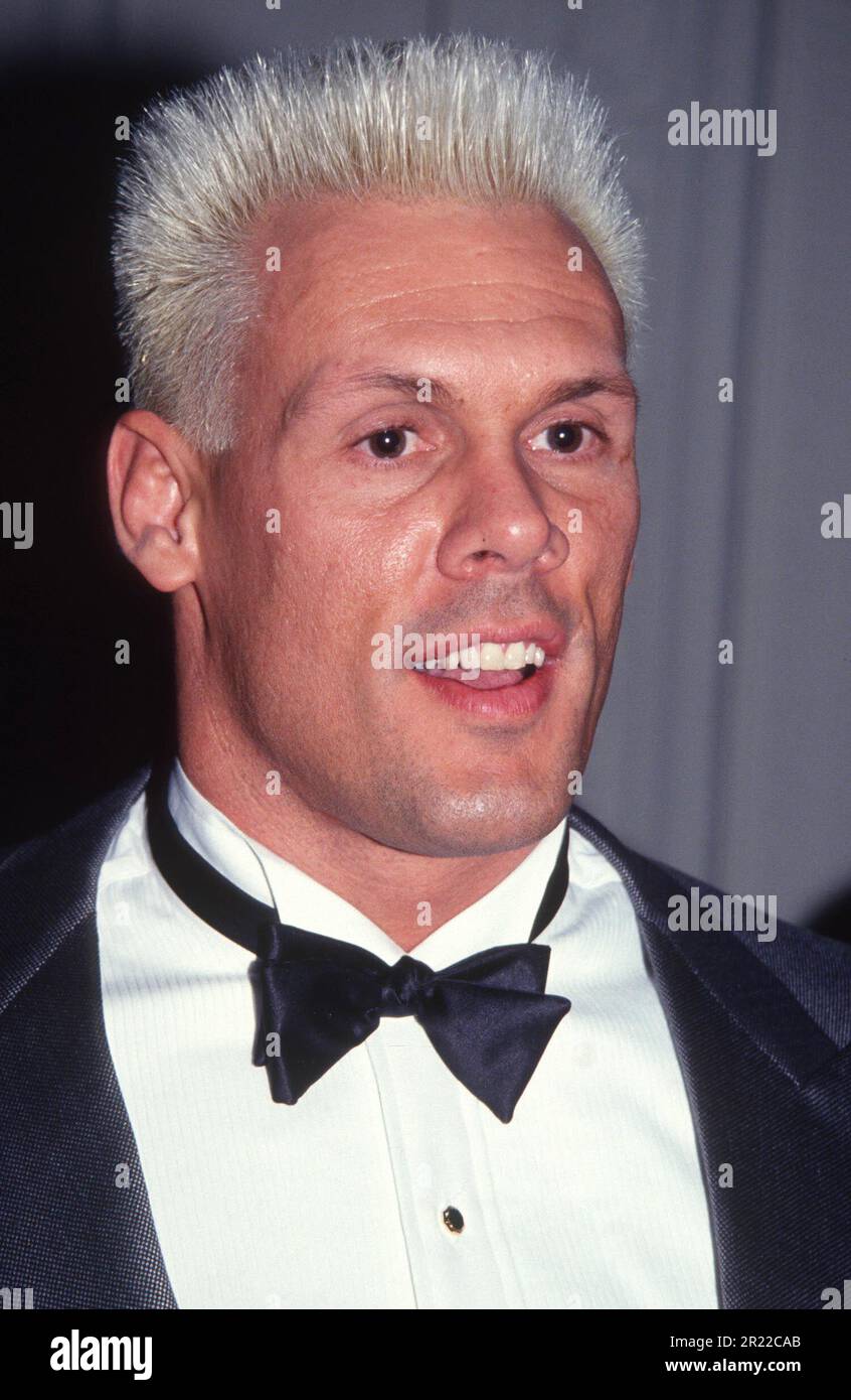 1991 Sting Photo by John Barrett/PHOTOlink Stock Photo - Alamy