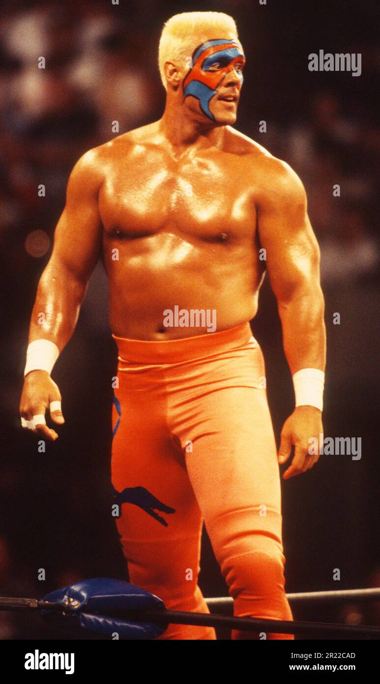 1996 Sting Photo by John Barrett/PHOTOlink Stock Photo - Alamy