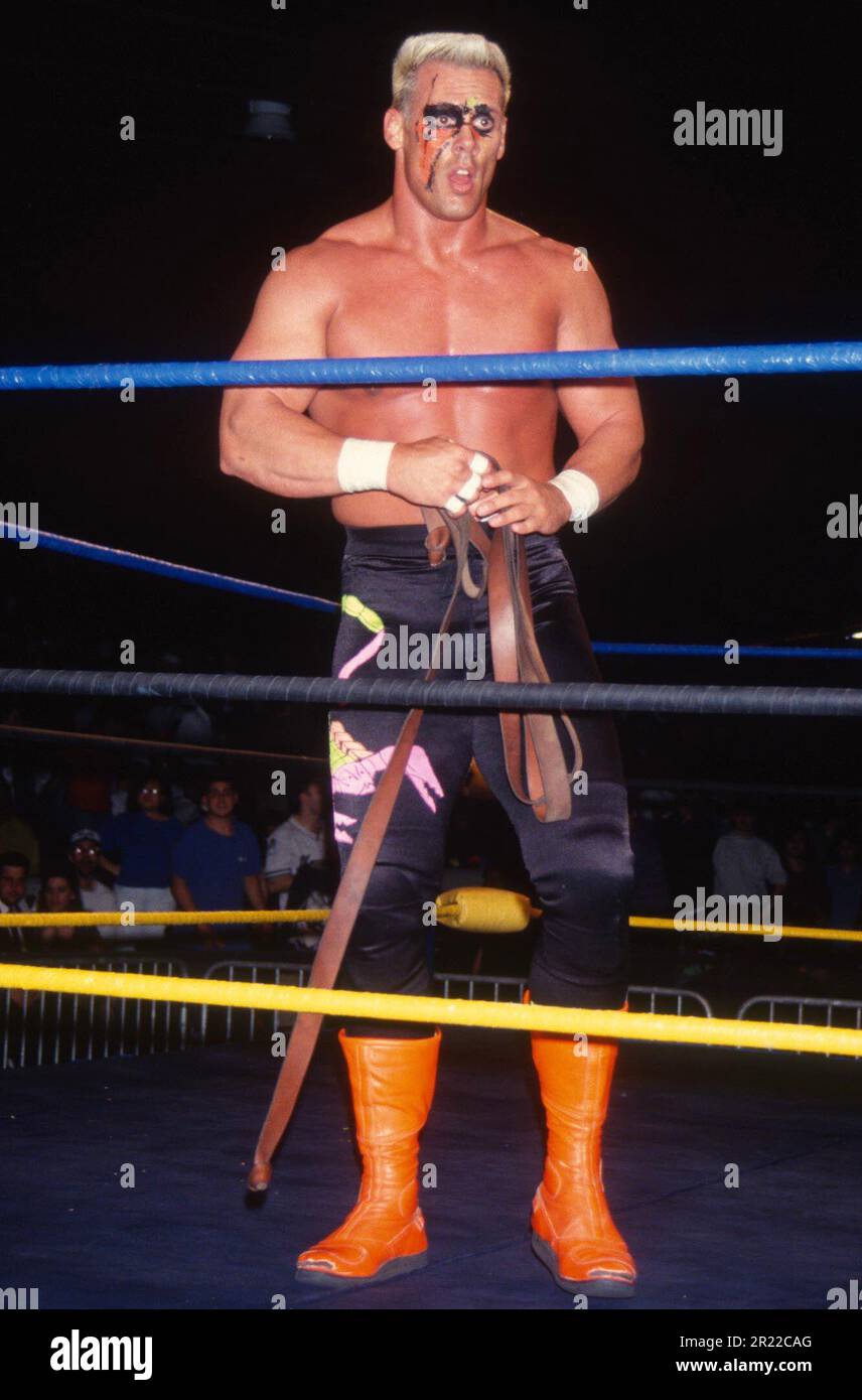 1989 Sting Photo by John Barrett/PHOTOlink Stock Photo - Alamy