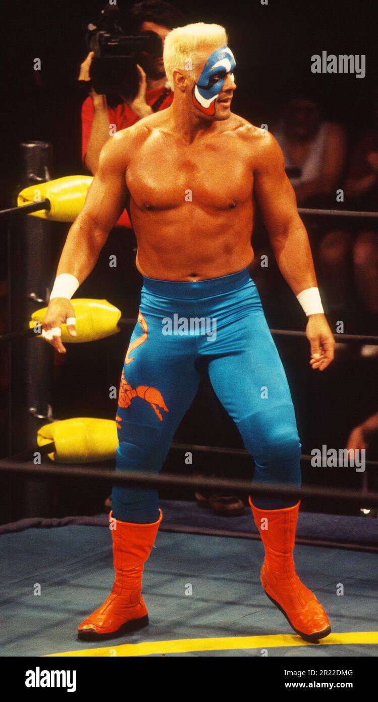 Sting Wcw 1995