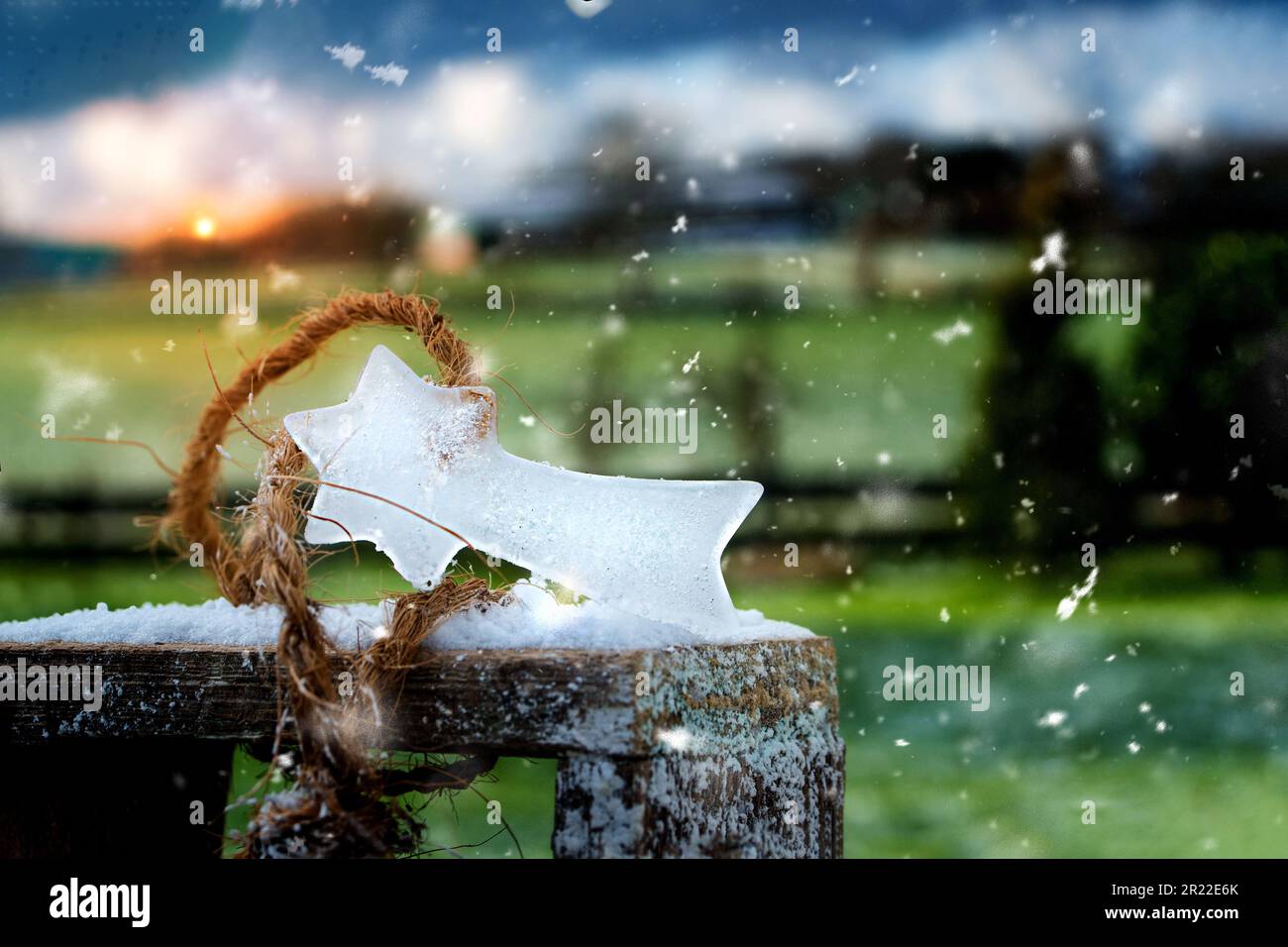 icy star tree for hanging up in garden, Germany Stock Photo - Alamy