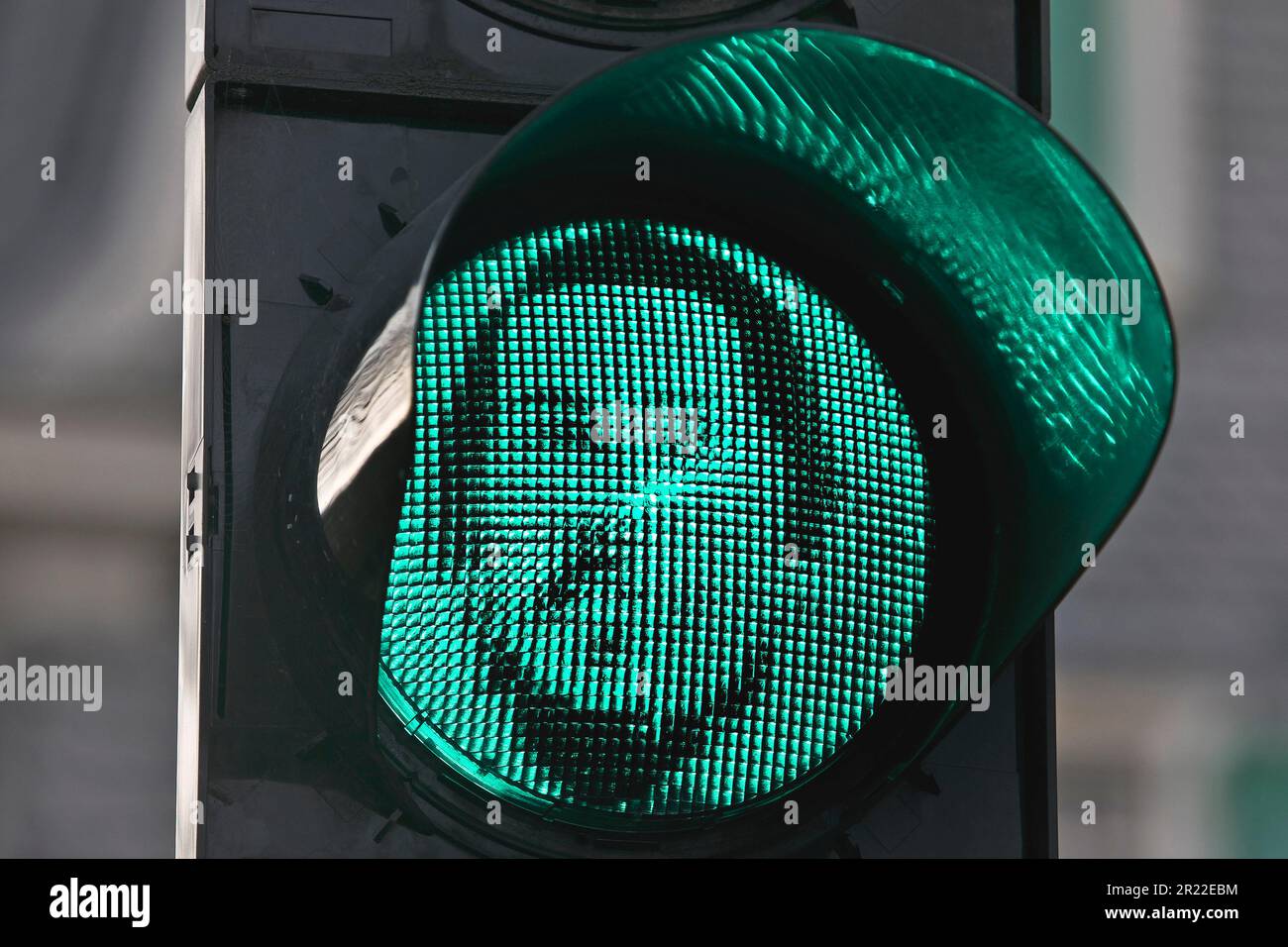 green traffic light at Engels' house with the portrait of Friedrich ...