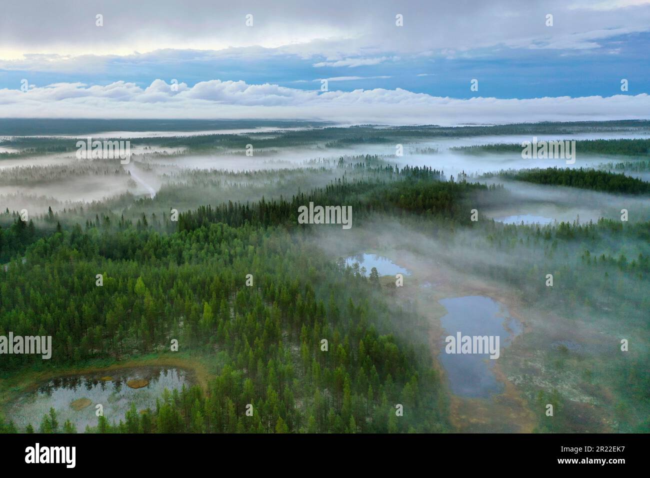 Taiga aerial hi-res stock photography and images - Alamy