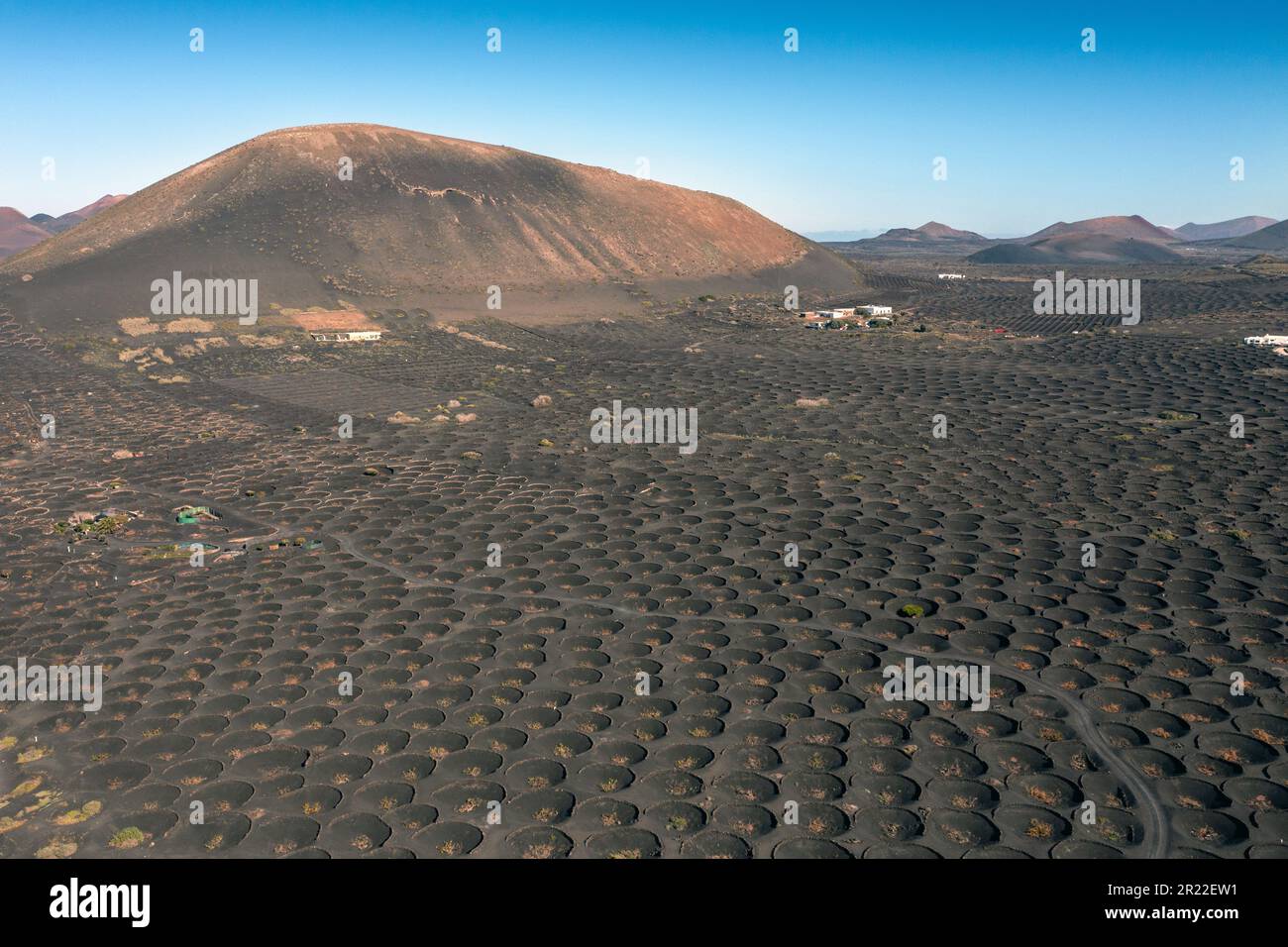 Lava rock with plant hi-res stock photography and images - Alamy