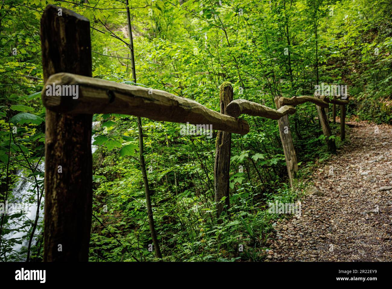 A wooden fence post runs along a winding path in a forest in Wald ...