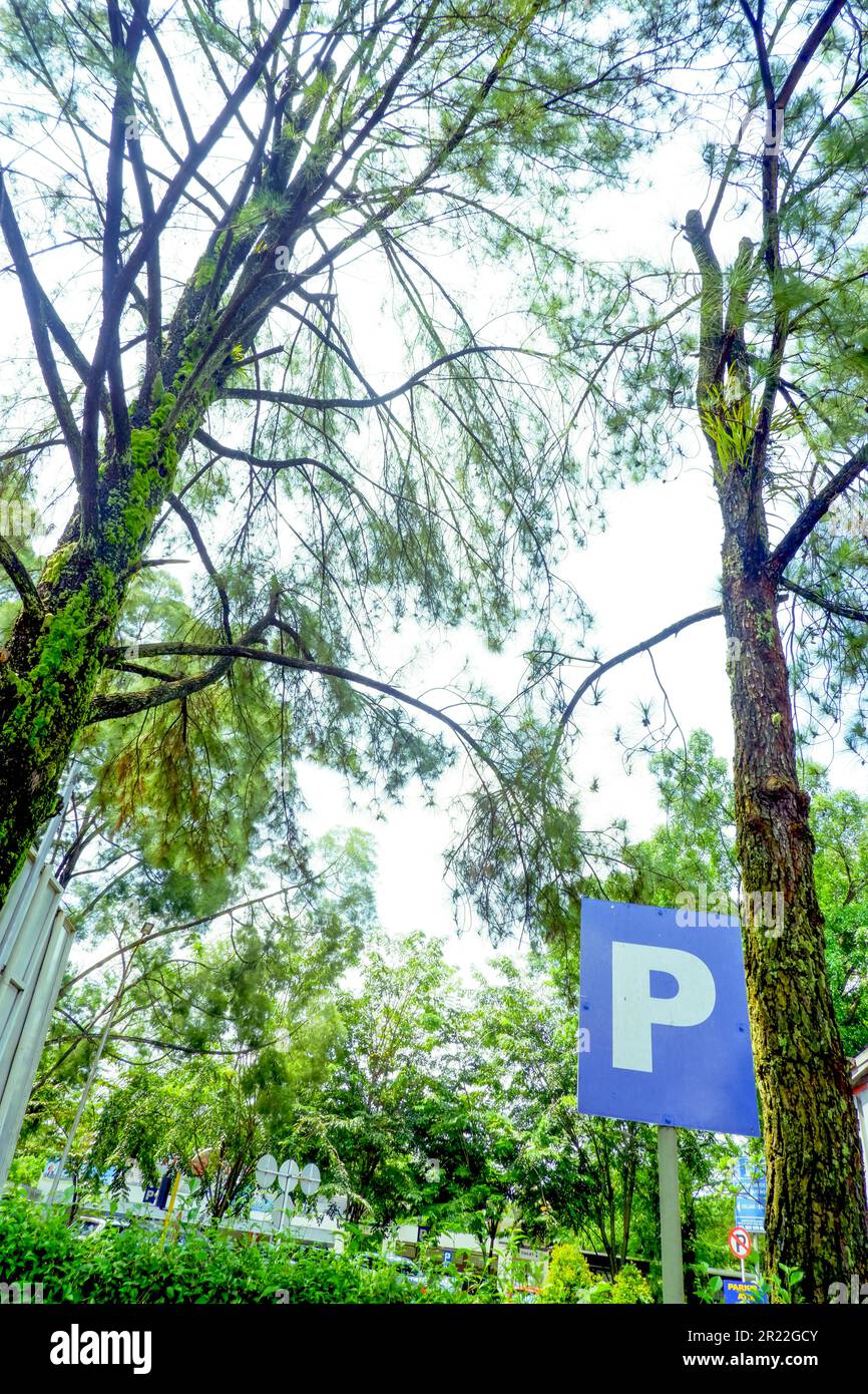 parking area signs between green trees Stock Photo - Alamy