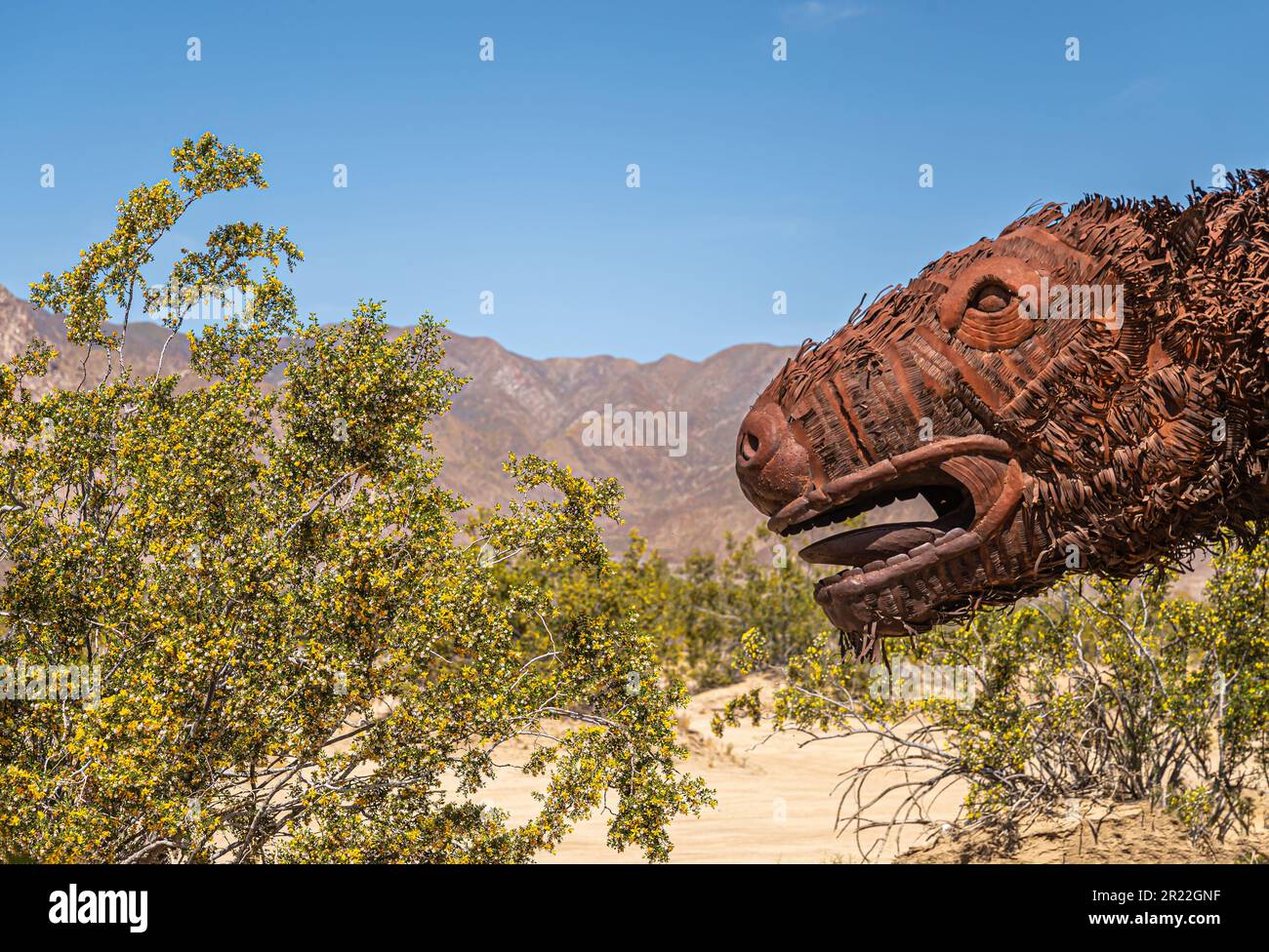 Borrego Springs, CA, USA - April 24, 2023: Closeup, Brown rusted metal ... Borrego Springs, CA, USA - April 24, 2023: Closeup, Brown rusted metal ...
