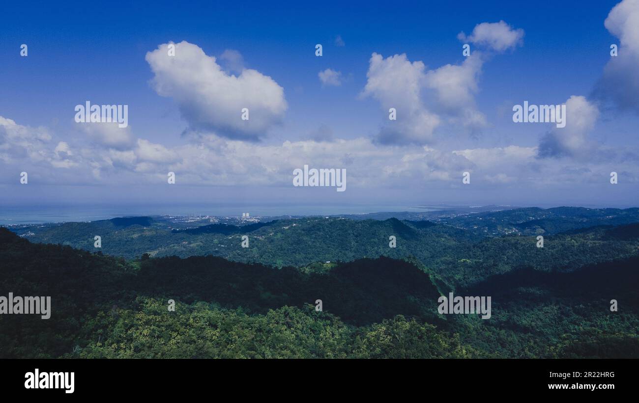 aerial view of Yokahu Tower in El Yunque forest Puerto Rico . High ...