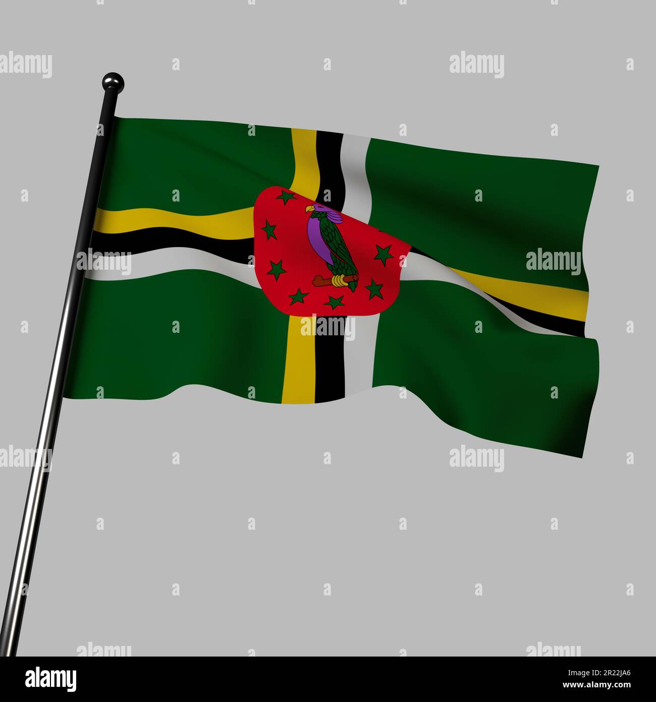 Dominica flag 3D illustration on gray has a green field with a yellow ...