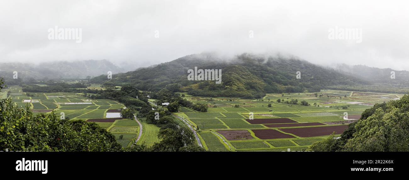 A panoramic aerial view of the Hanalei Valley Lookout on Kauai Stock ...
