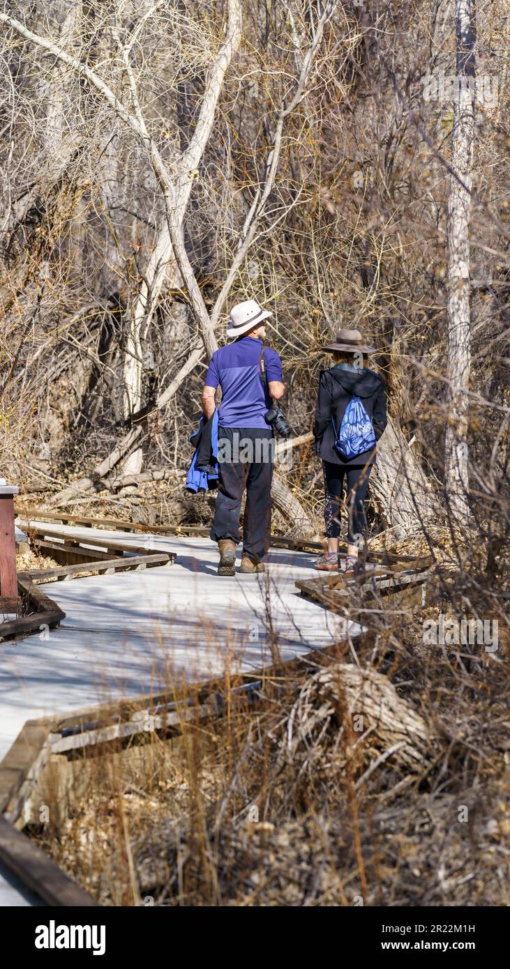 Morongo Valley, California - February 4 2023: A couple walking on a ...
