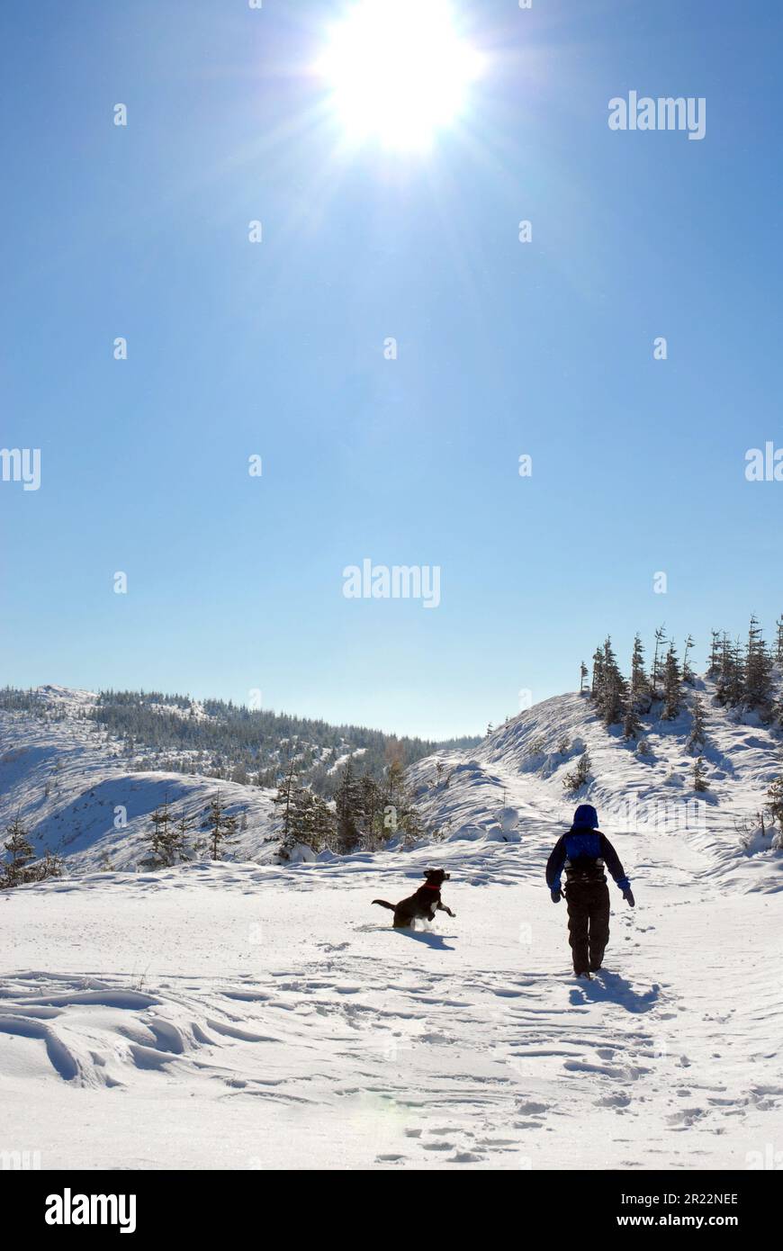 Woman hiking with dog in snow. Mount Defiance, Columbia River Gorge ...