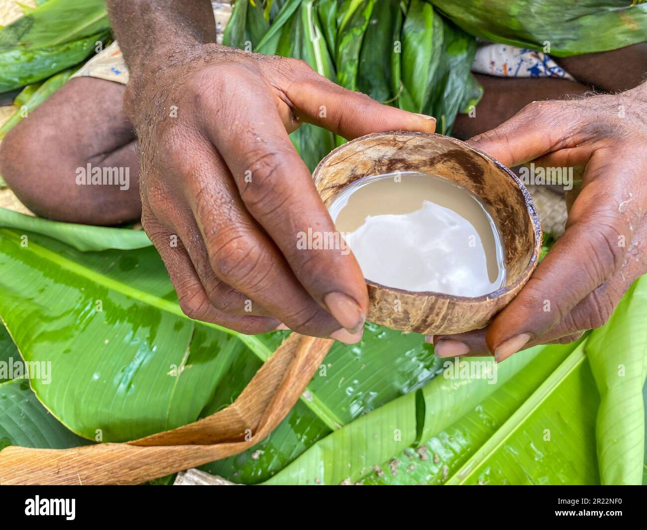 Kava is a traditional and culturally significant beverage in Vanuatu ...