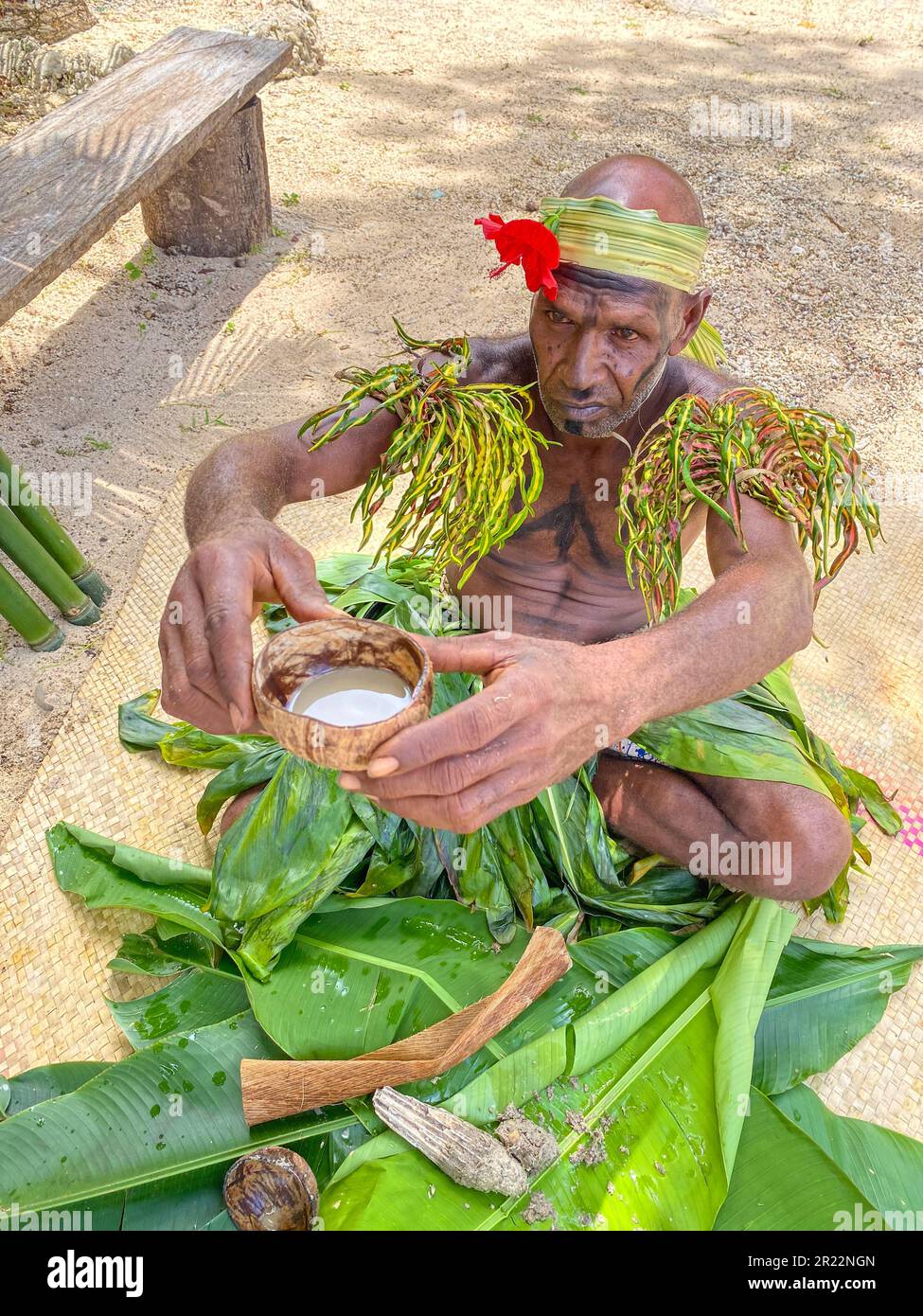 Kava is a traditional and culturally significant beverage in Vanuatu ...