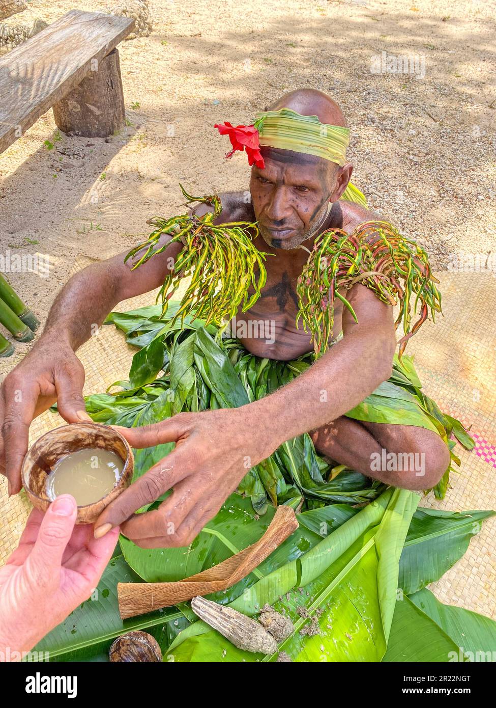 Kava is a traditional and culturally significant beverage in Vanuatu ...