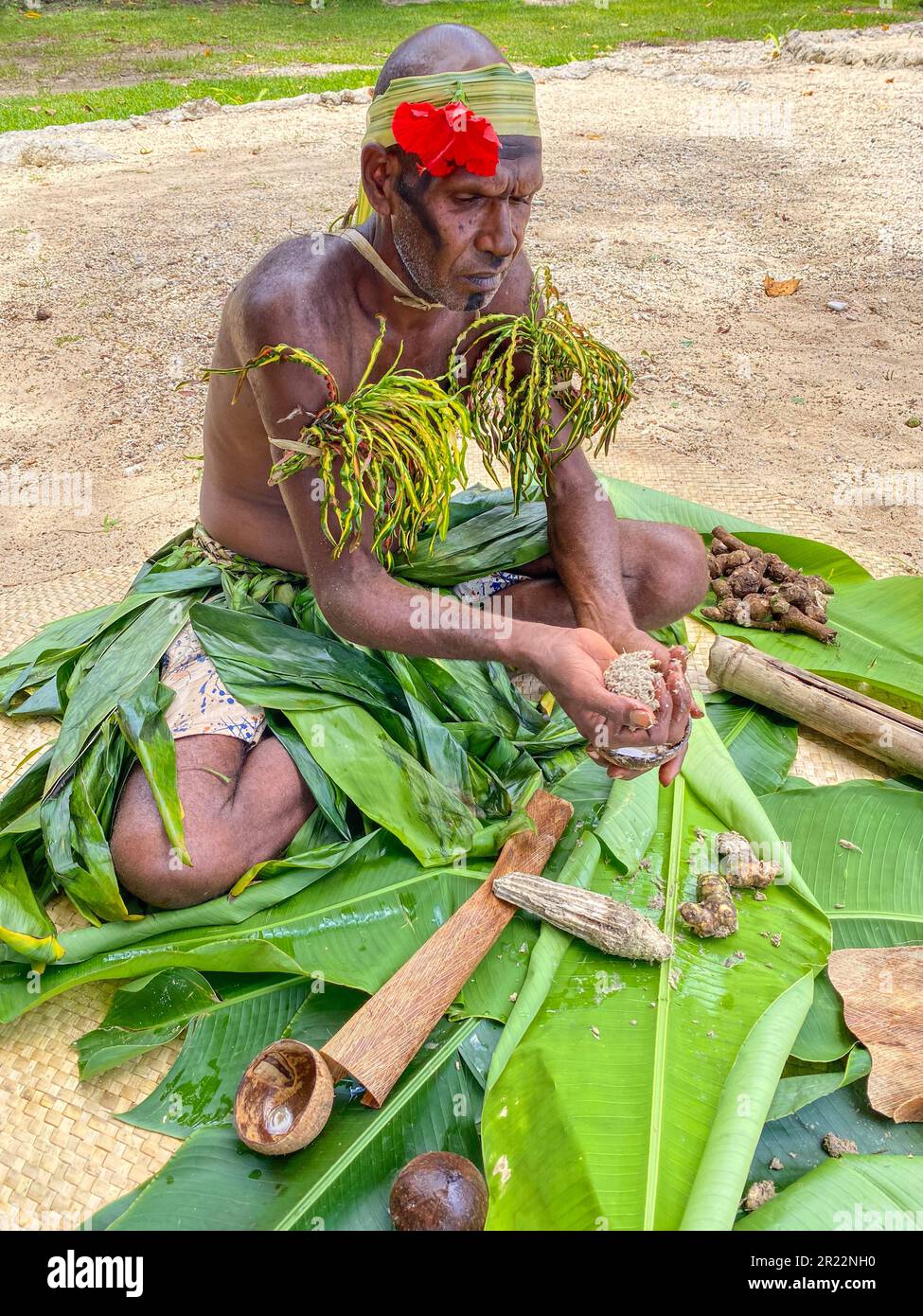 Kava is a traditional and culturally significant beverage in Vanuatu ...