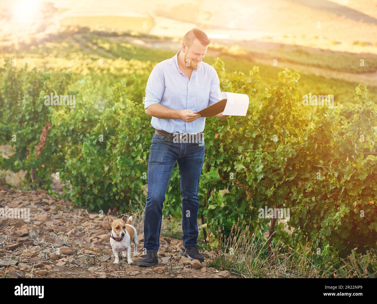 Farming involves many tasks and skills. a farmer out on his rounds in ...