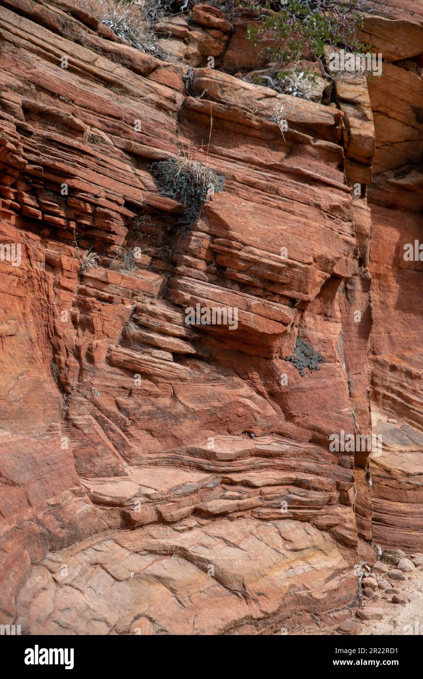 Algeria art hi-res stock photography and images - Alamy