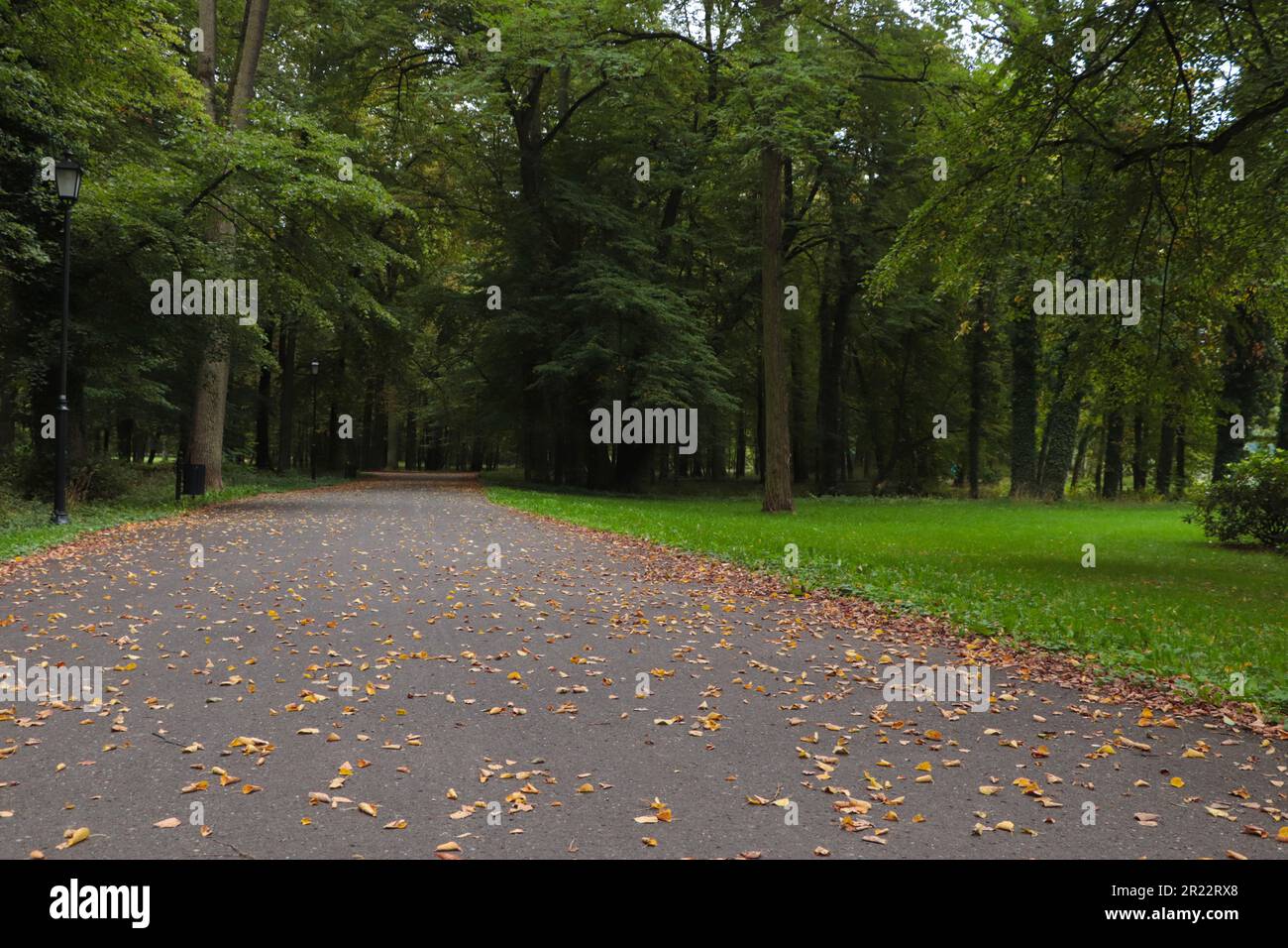 Beautiful public city park with many trees on autumn day Stock Photo ...