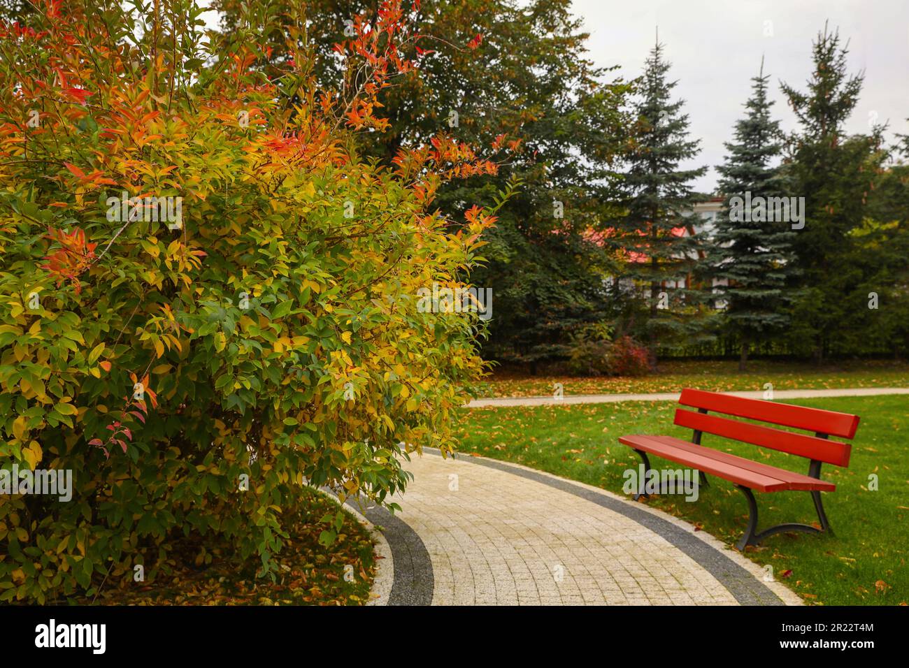 Beautiful trees, pathway and bench in park Stock Photo - Alamy
