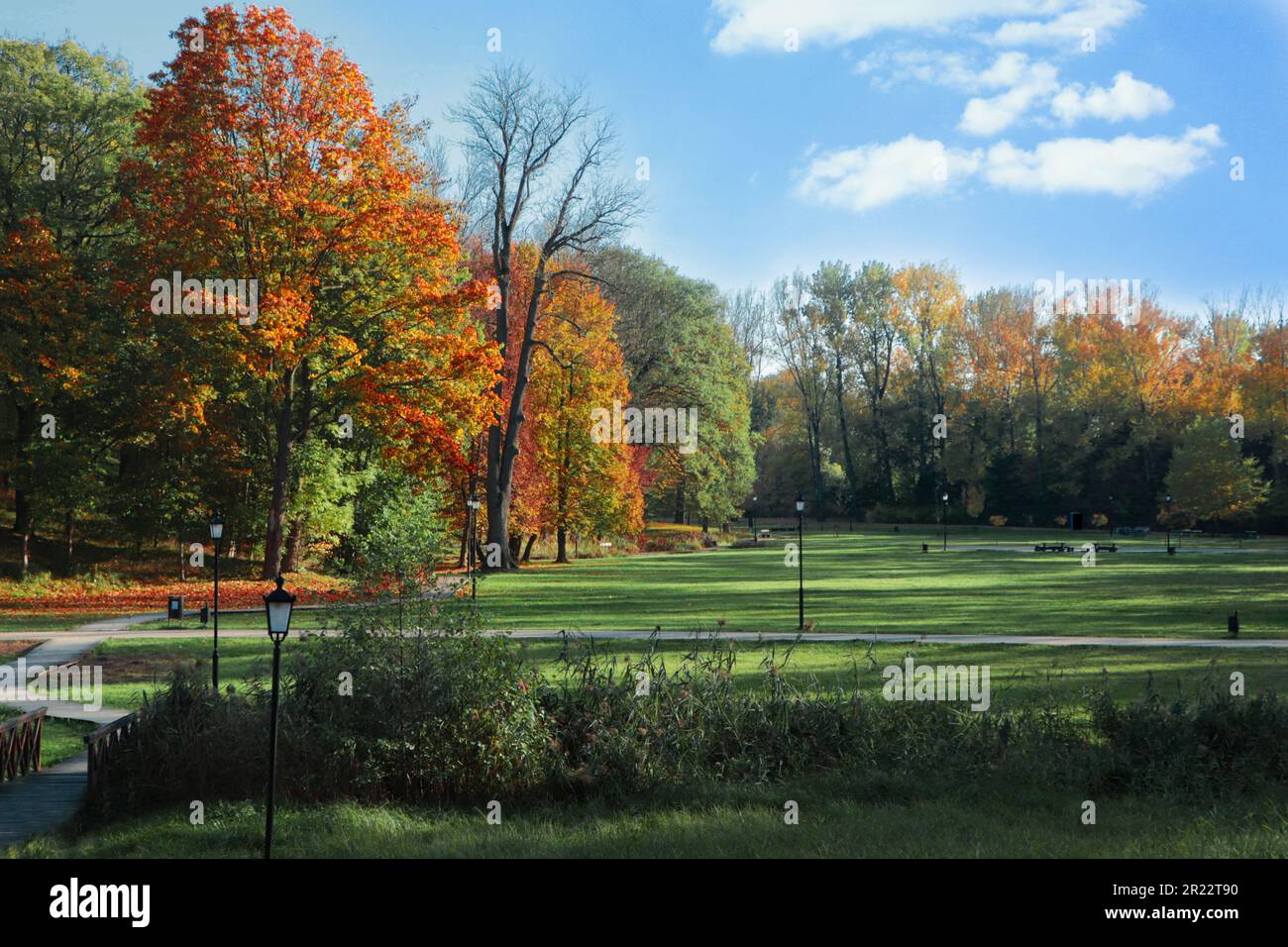 Picturesque view of park with beautiful trees and pathway on sunny day ...