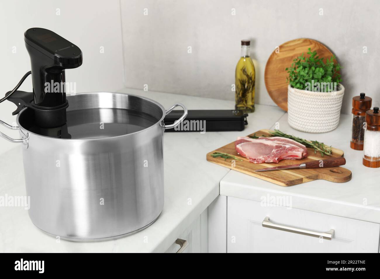 Sous vide cooker in pot and ingredients on white countertop. Thermal ...