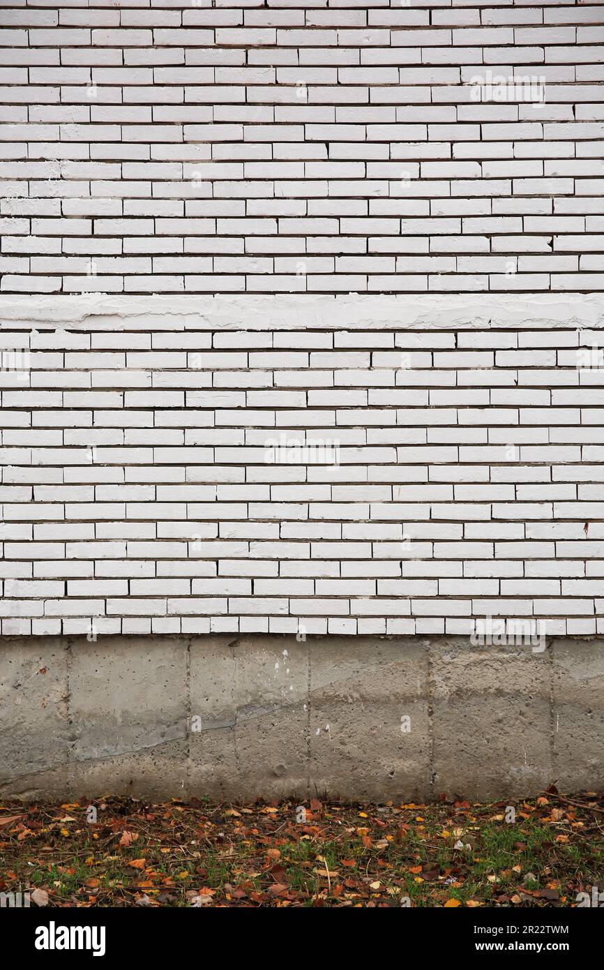 Beautiful wall made of white bricks and ground with fallen dry leaves ...