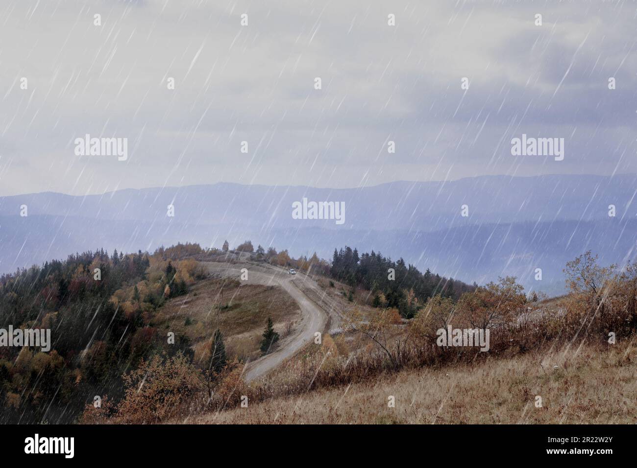 Beautiful landscape of forest with pathway in mountains on rainy day ...