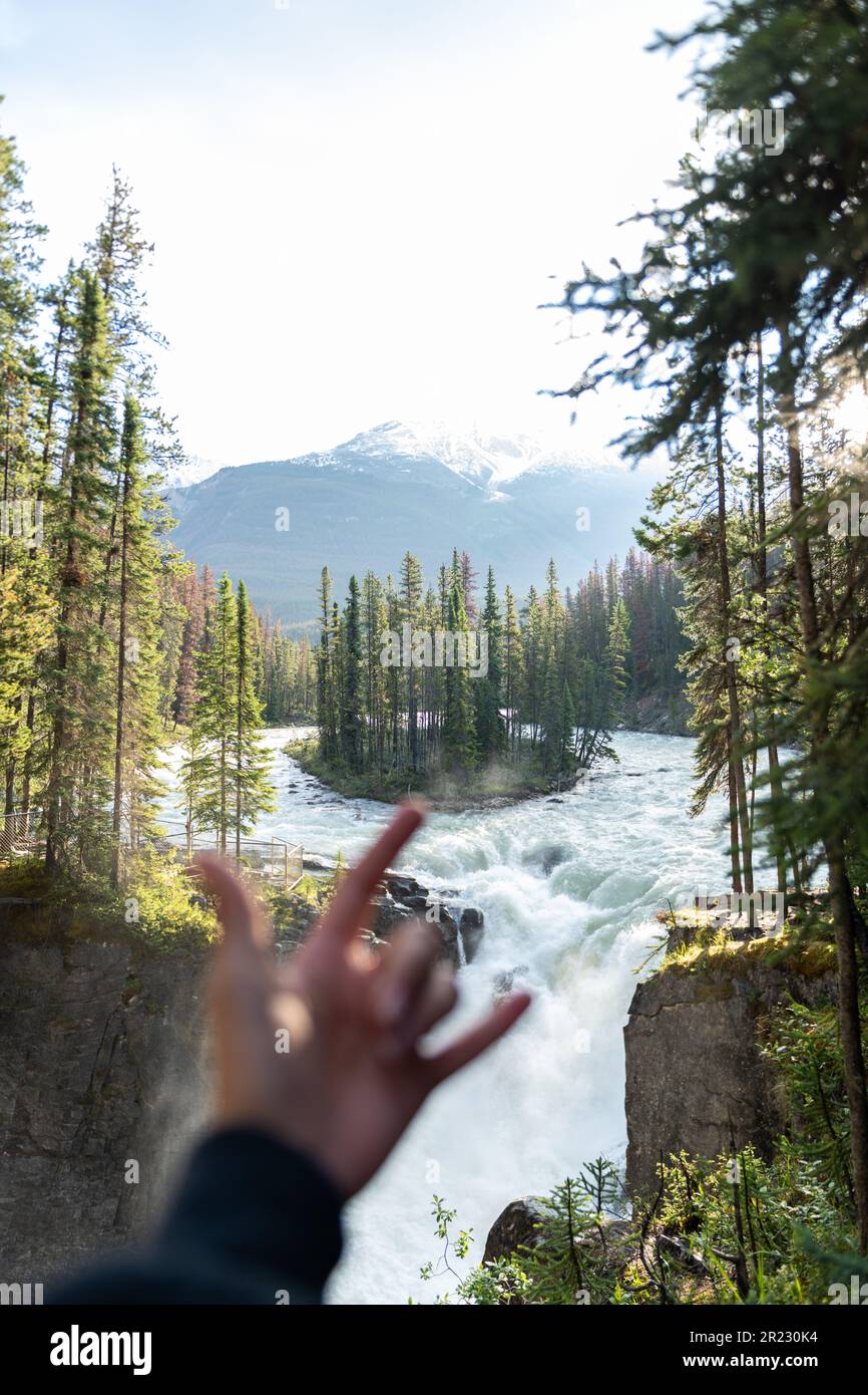 Sunwapta falls island Jasper national park Canada Stock Photo - Alamy