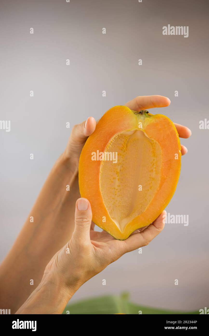 Half of papaya fruit on hand. Fragrant tropical fruit pulp. Sweet fresh ...