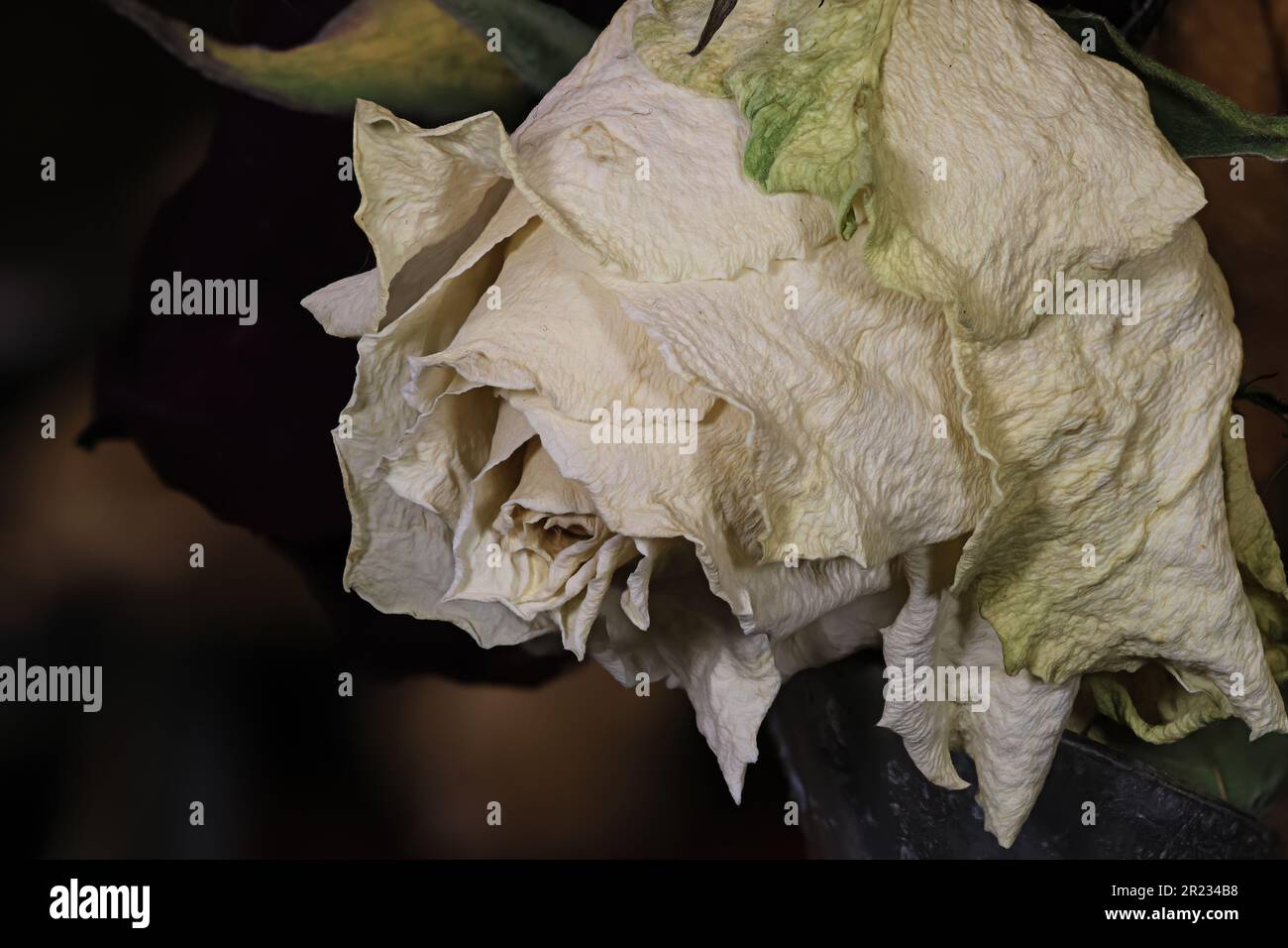 Art for arts sake Stock Photo - Alamy