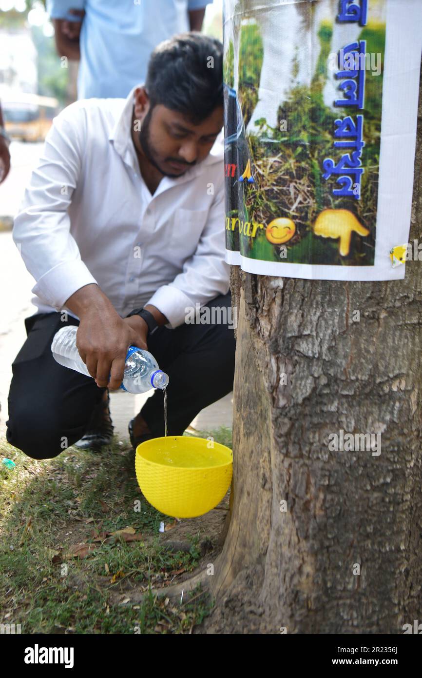 Animal ngo hi-res stock photography and images - Alamy