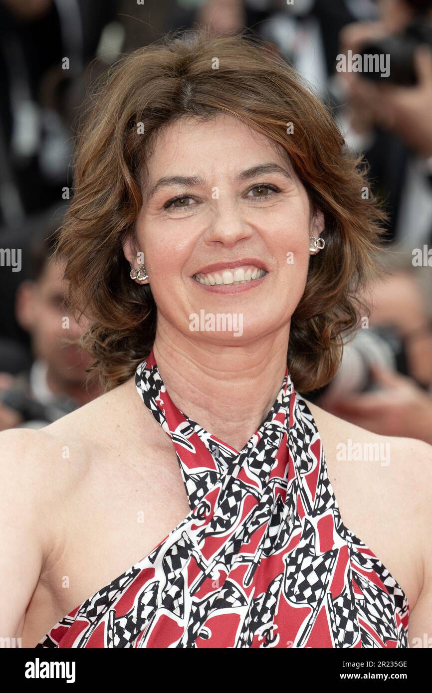 Cannes, France. 17th May, 2023. Irene Jacob attends the screening of ...