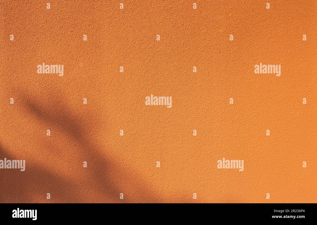 Empty orange concrete wall with foliage shadow. Colored concrete ...