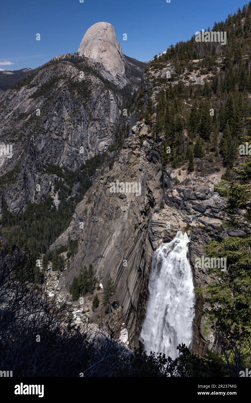 Illilouette waterfall with trees on a mountain with the back of half ...
