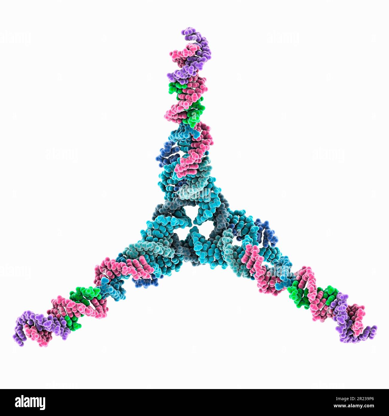 Self-assembled 3D tensegrity triangle, molecular model Stock Photo - Alamy