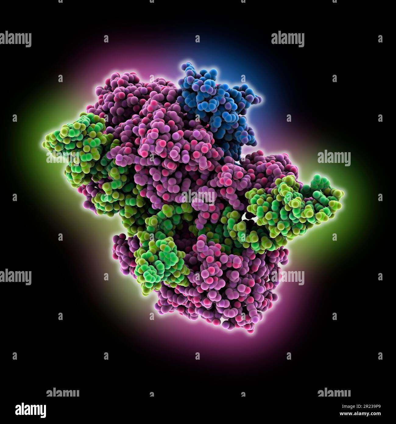 Anti-CRISPR protein AcrII complex, molecular model Stock Photo - Alamy